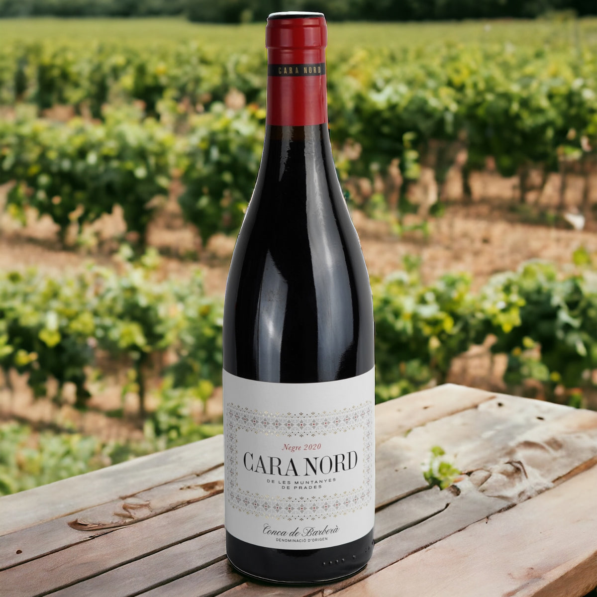 Cara Nord Negre – Mountain Red Wine | Barcelona – Bodegas La Catedral